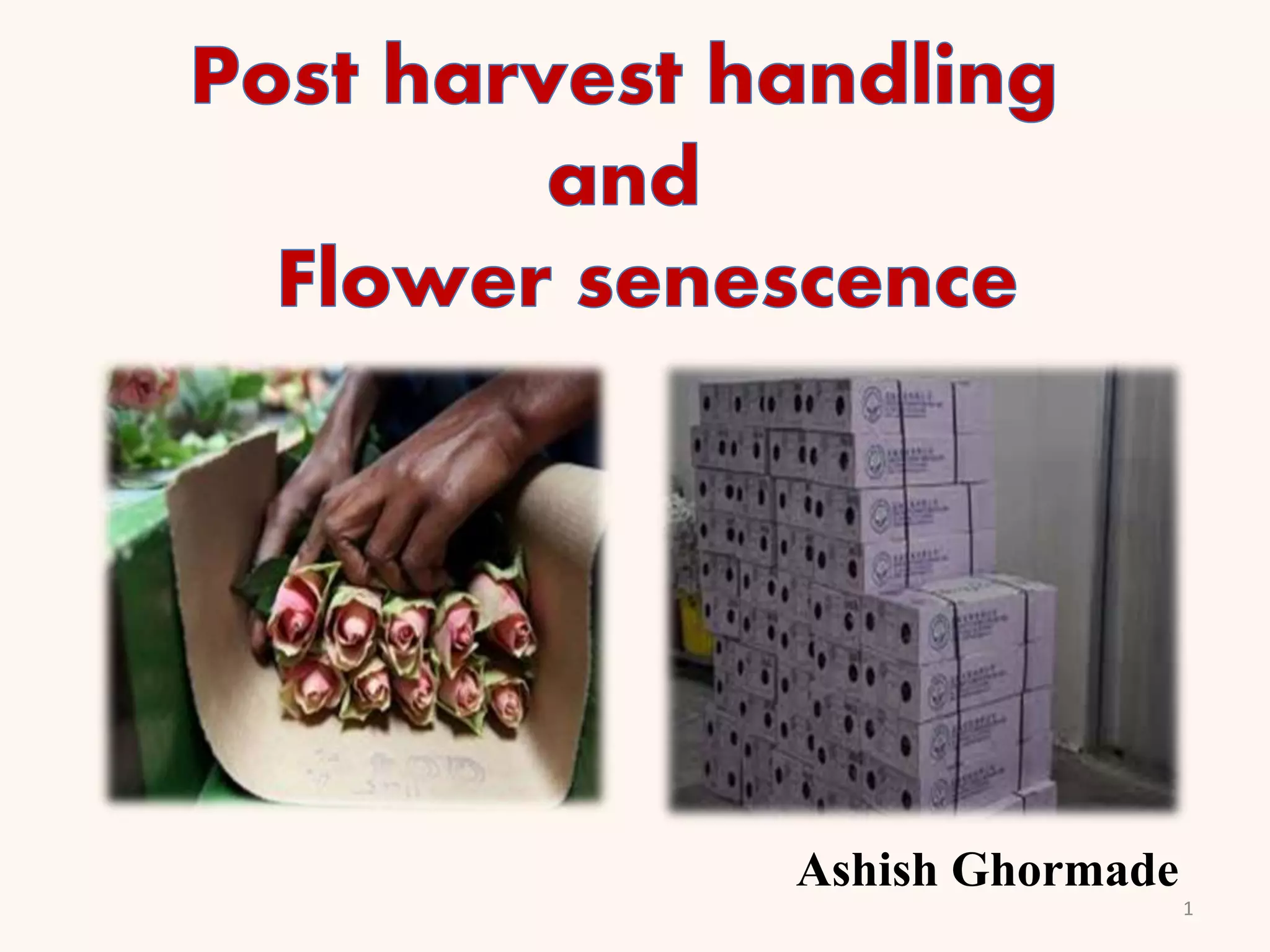 Post harvest handling | PPTX