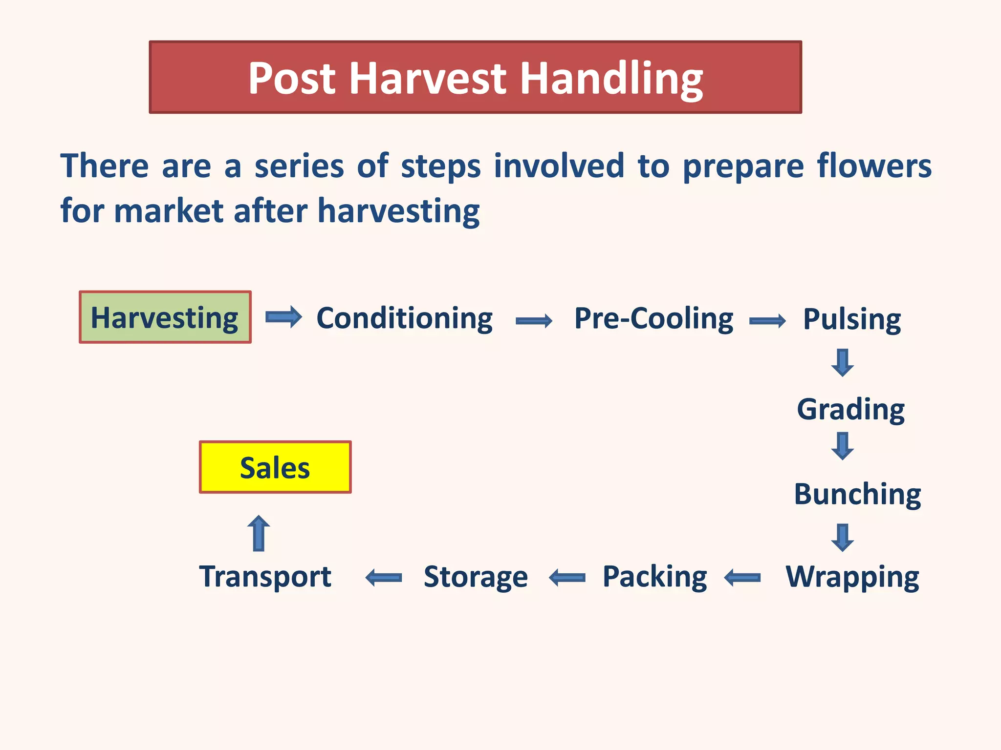 Post harvest handling | PPTX