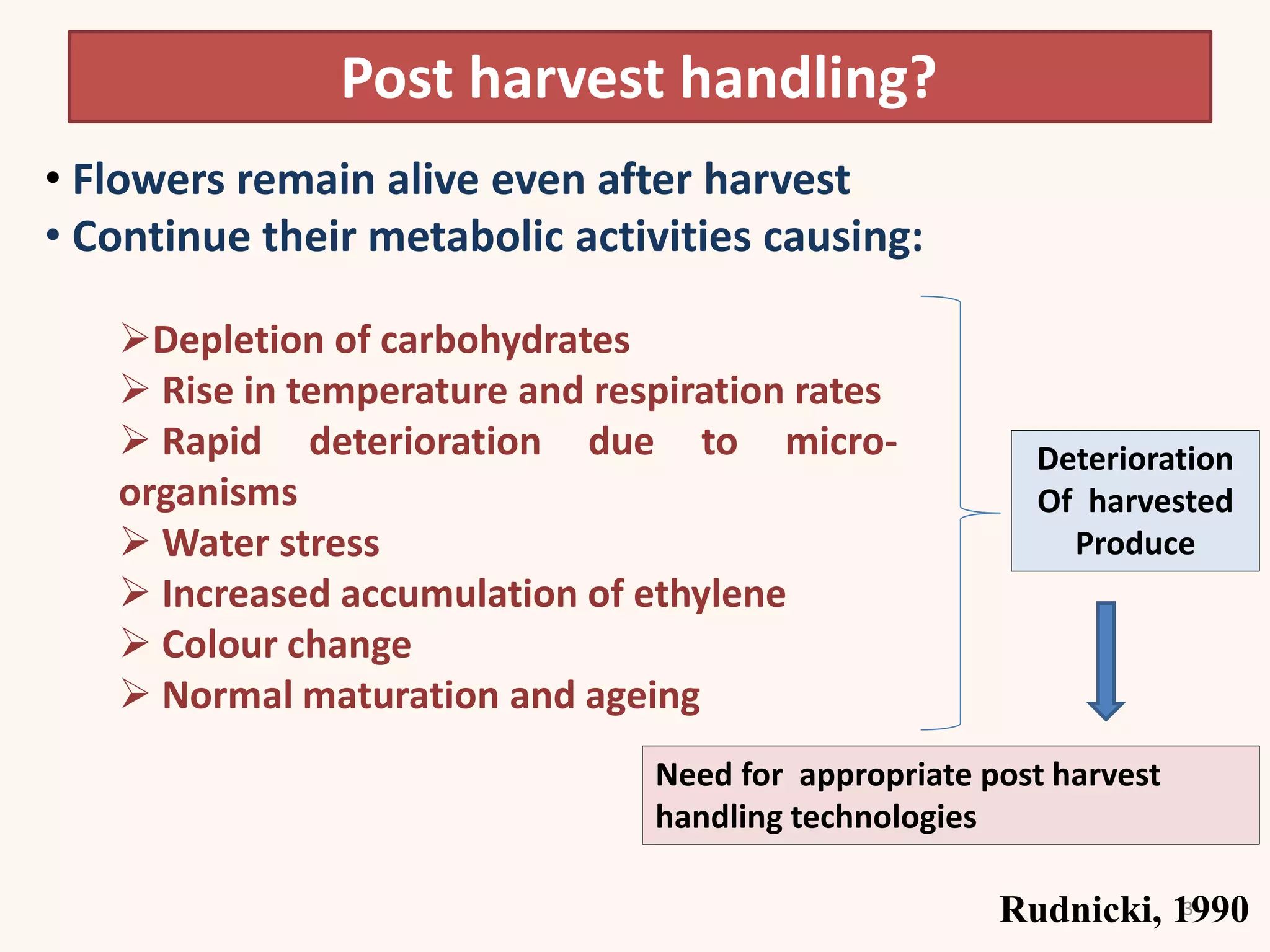 Post harvest handling | PPTX