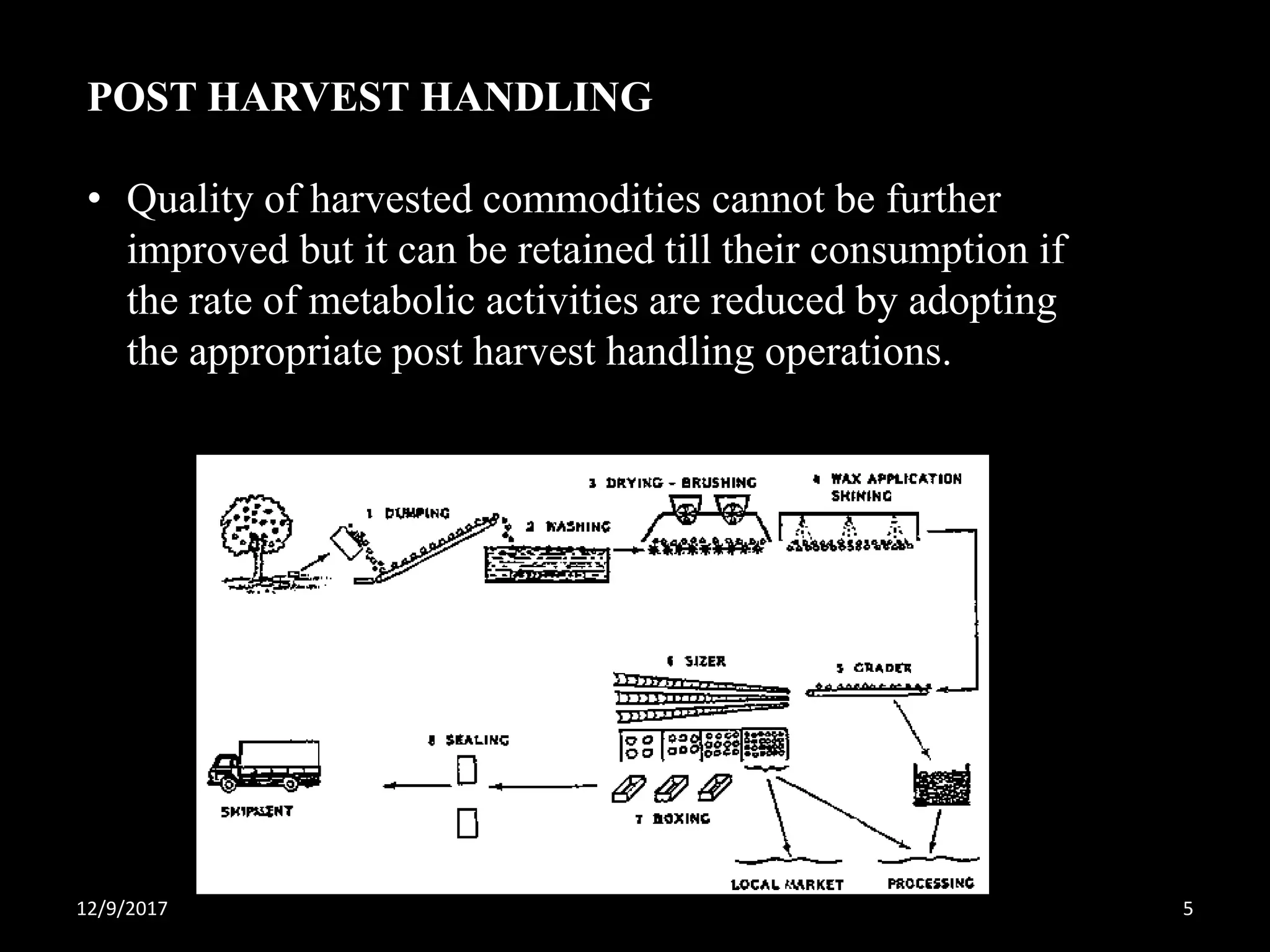 Post harvest handling and transportation | PPTX