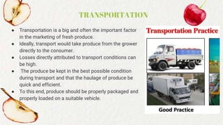 Post Harvest Handling & Cold Chain Management Of Fresh Commodities.pptx