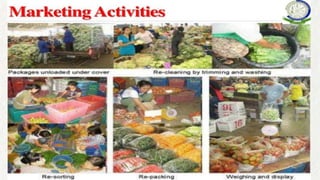 Post Harvest Handling & Cold Chain Management Of Fresh Commodities.pptx