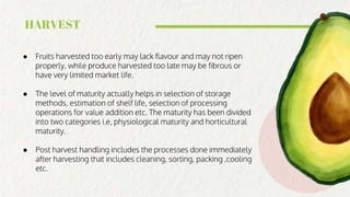 Post Harvest Handling & Cold Chain Management Of Fresh Commodities.pptx