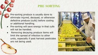 Post Harvest Handling & Cold Chain Management Of Fresh Commodities.pptx