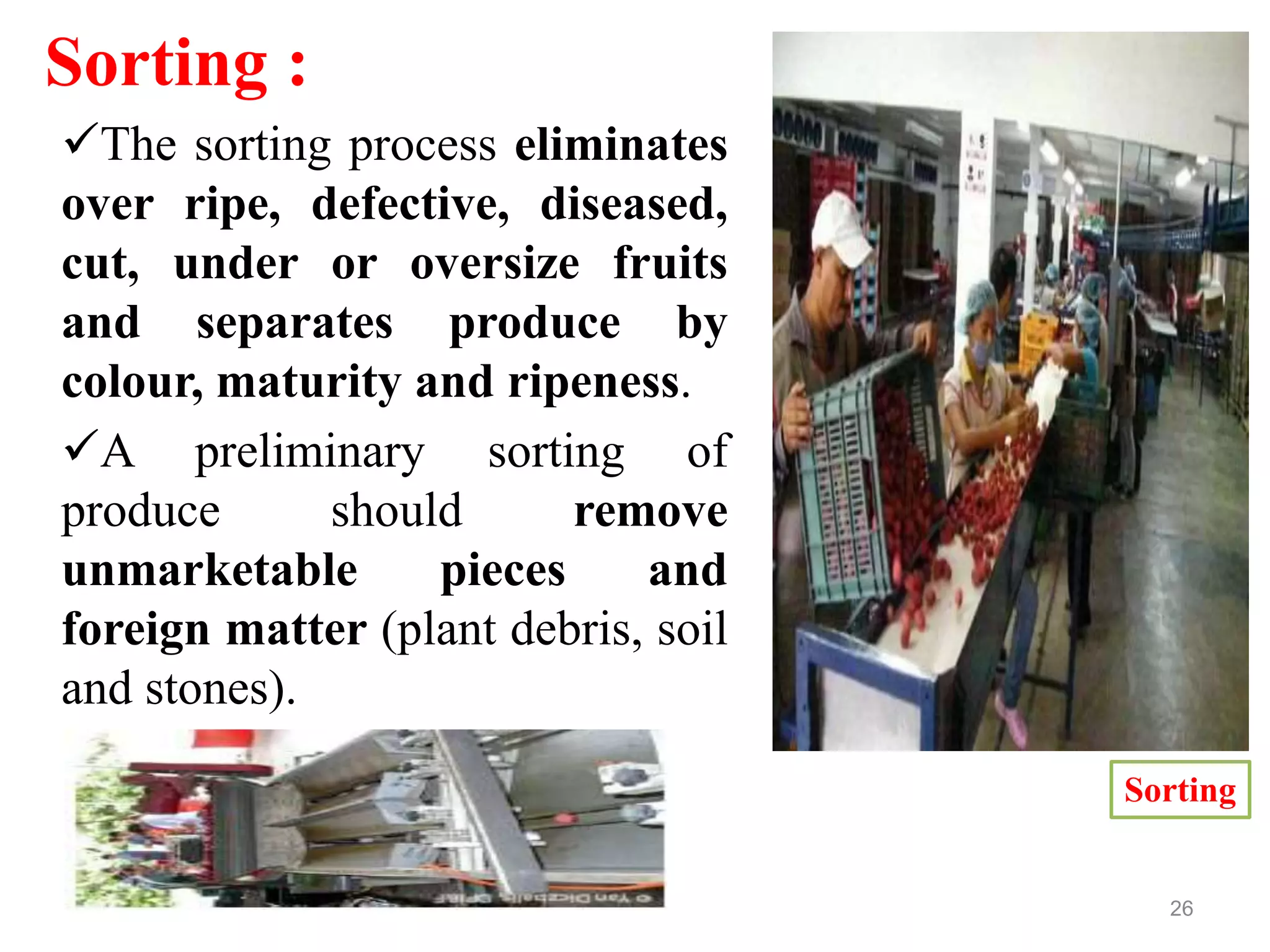 Post harvest handling/ management of litchi | PPTX