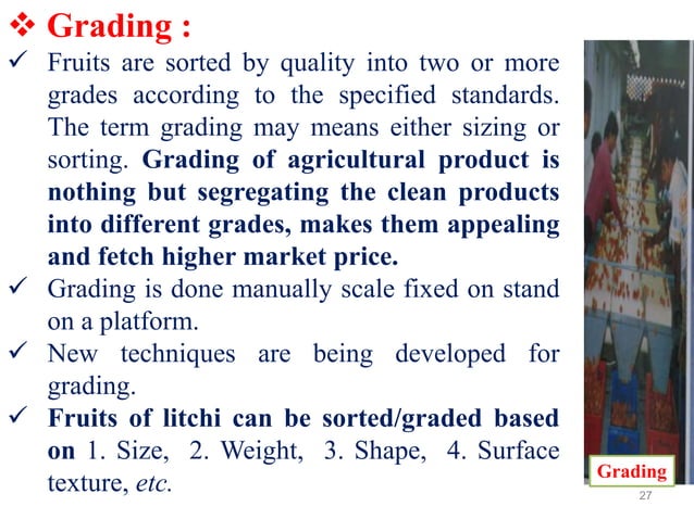 Post harvest handling/ management of litchi | PPTX