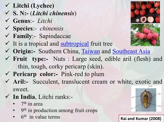 Post harvest handling/ management of litchi | PPTX