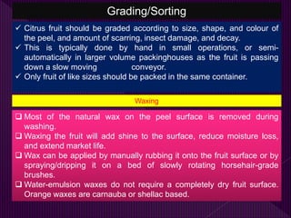 Post harvest handling of citrus fruit in north east India | PPTX