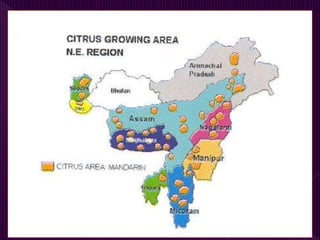 Post harvest handling of citrus fruit in north east India | PPTX