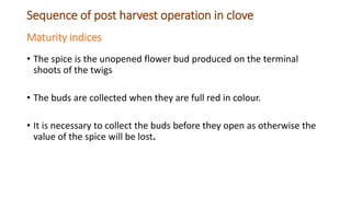 Post harvest handling of clove | PPT