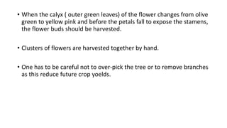 Post harvest handling of clove | PPT