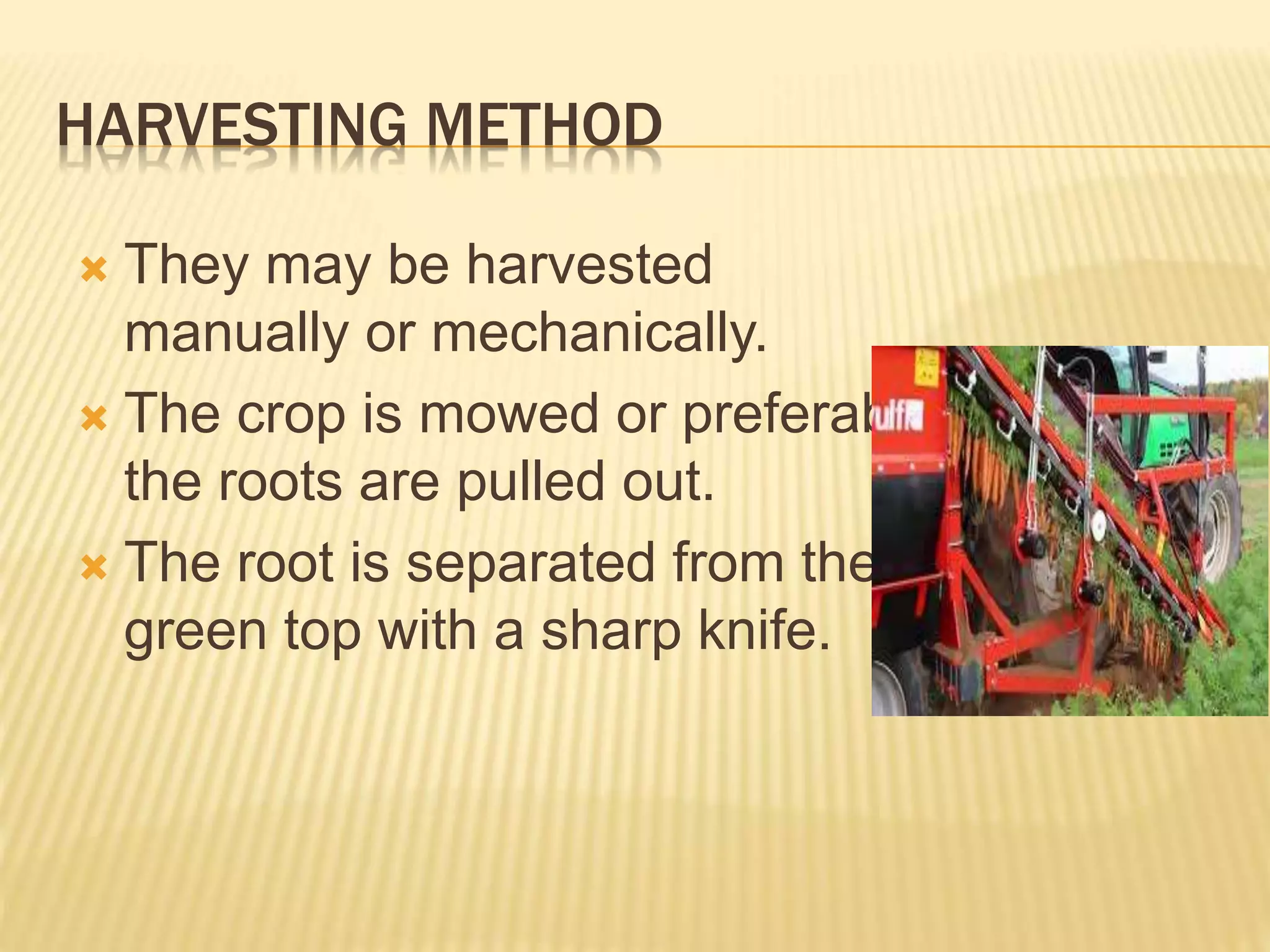 Post harvest handling of vegetables | PPTX