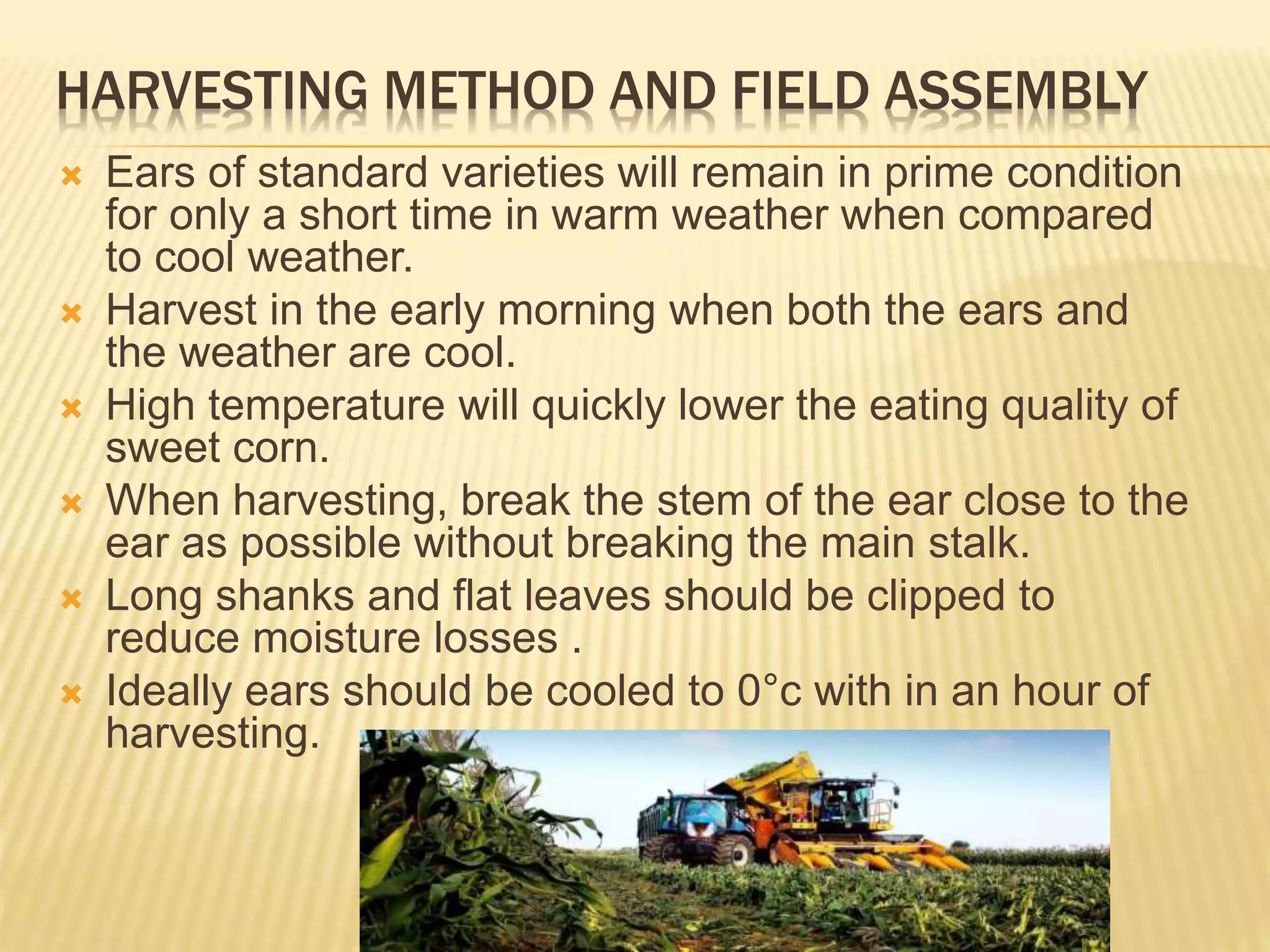 Post harvest handling of vegetables | PPT