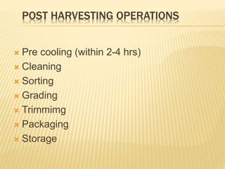 Post harvest handling of vegetables | PPTX