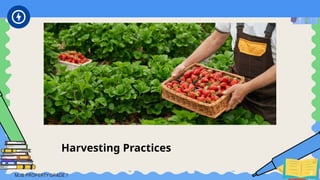 post harvesting...........................pptx