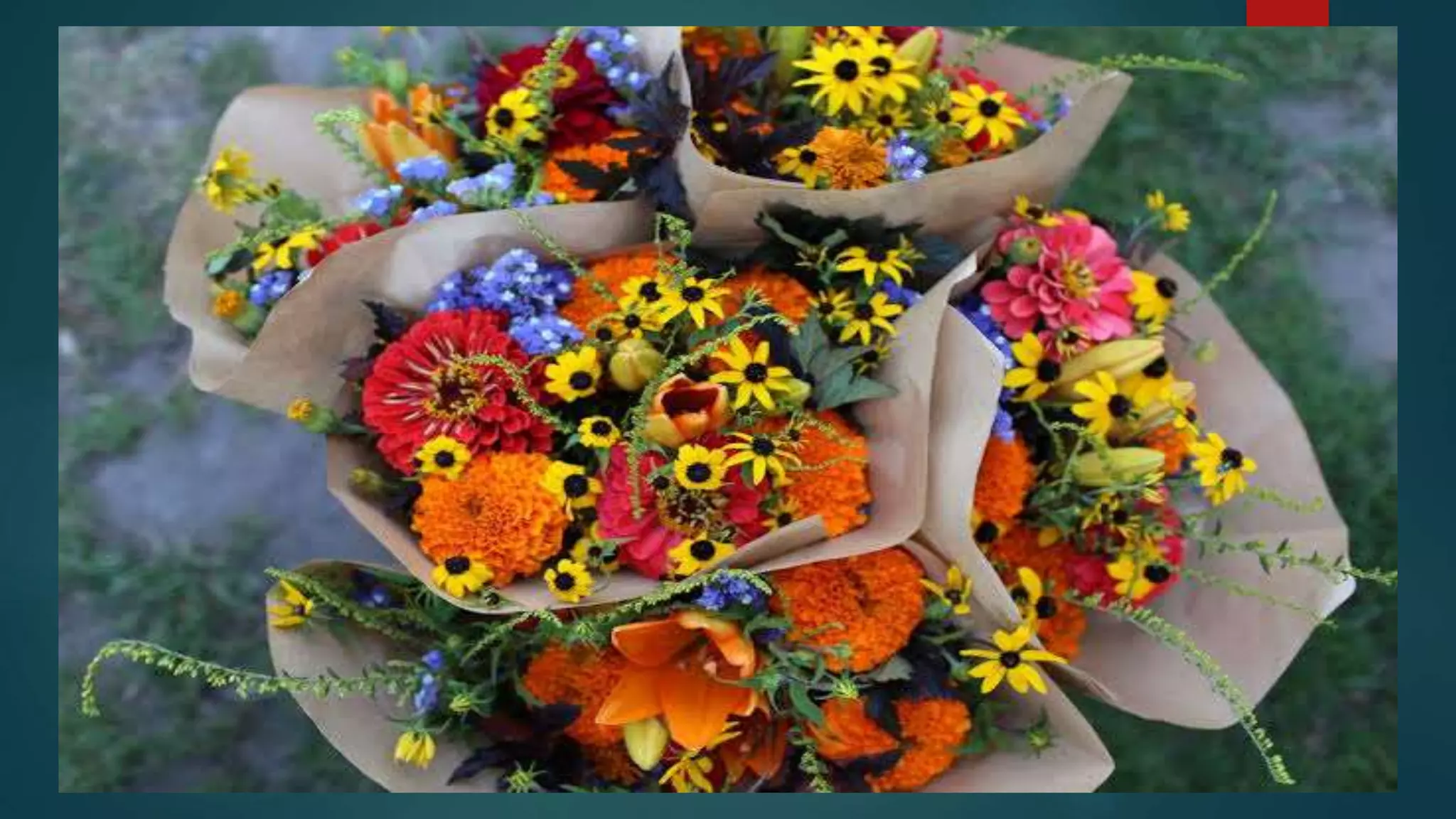 Post harvesting handling of flowers | PPTX