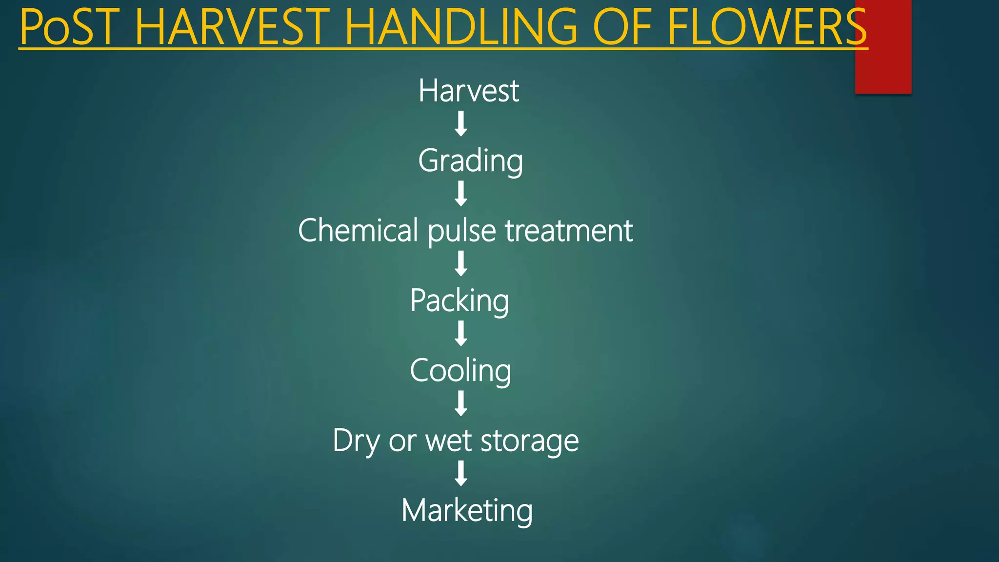 Post harvesting handling of flowers | PPTX