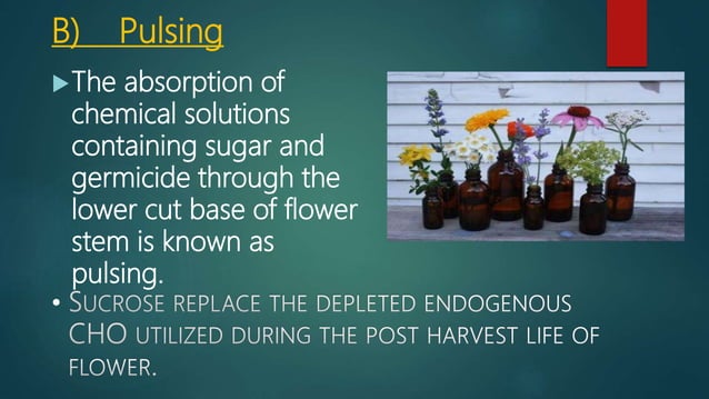 Post harvesting handling of flowers | PPTX