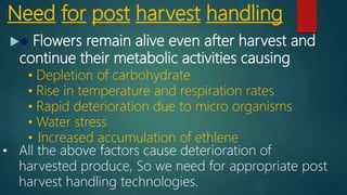 Post harvesting handling of flowers | PPTX