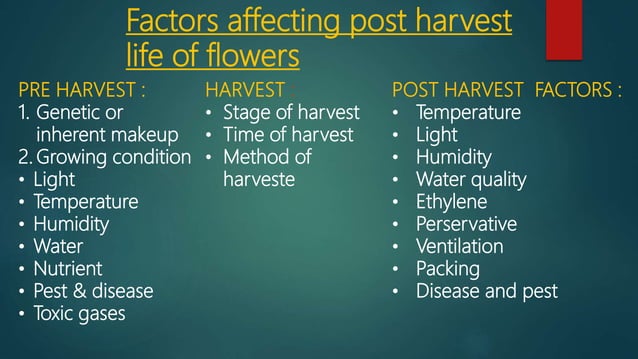 Post harvesting handling of flowers | PPTX