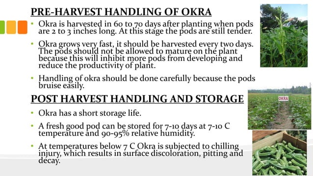 Post harvesting management | PPTX