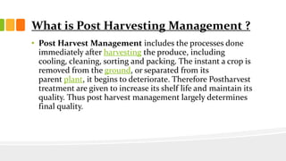 Post harvesting management | PPTX