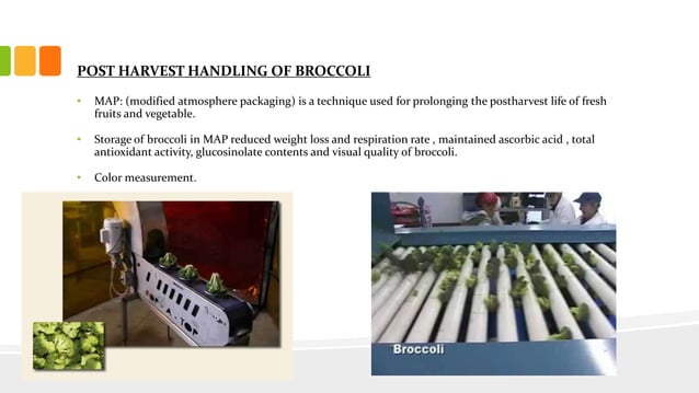 Post harvesting management | PPTX
