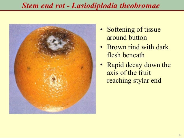 Post harvest lecture citrus-1