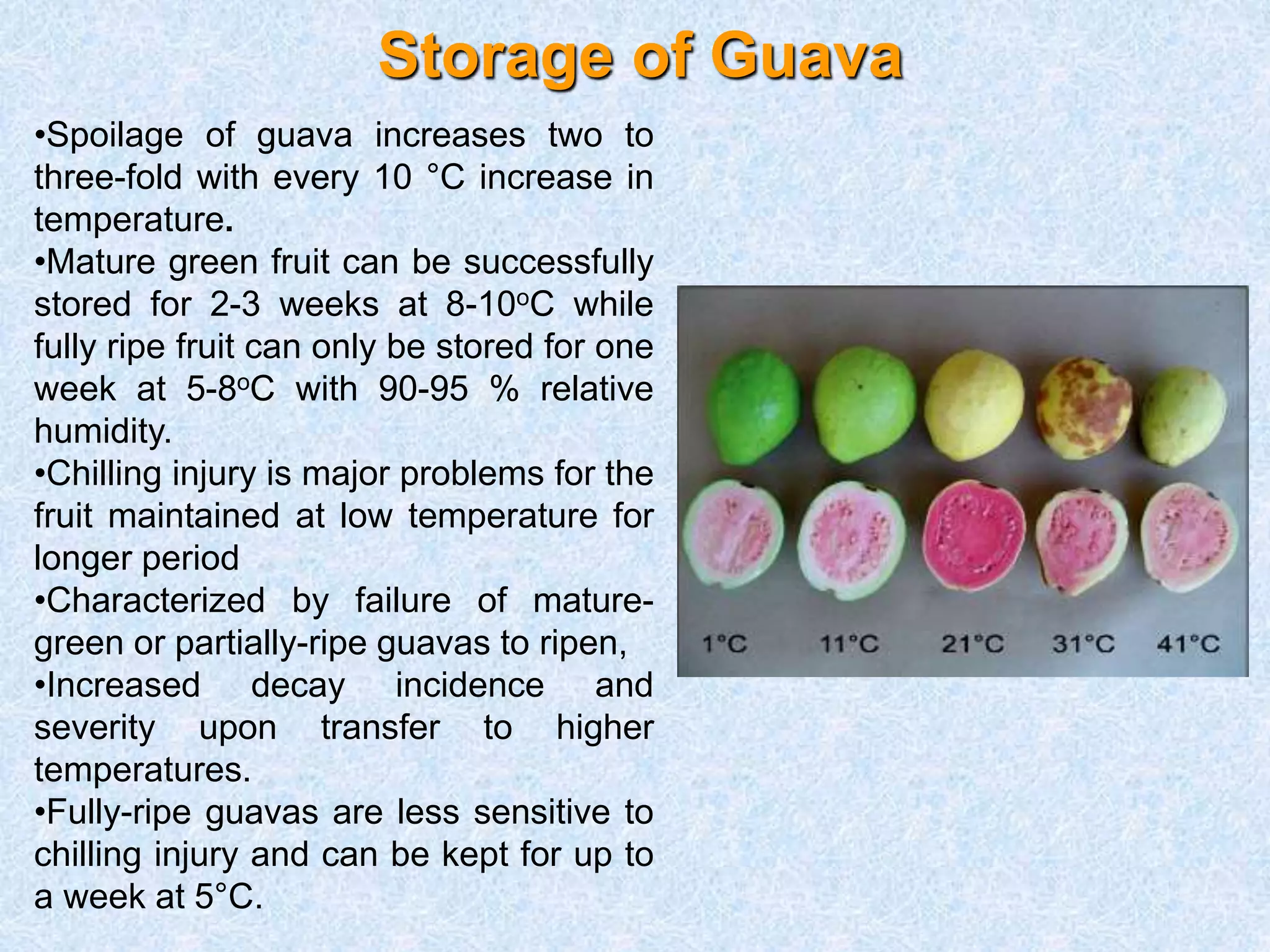 Post harvest management and value addition of guava | PPT