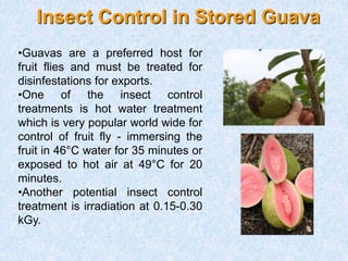 Post harvest management and value addition of guava | PPT