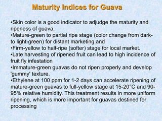 Post harvest management and value addition of guava | PPT