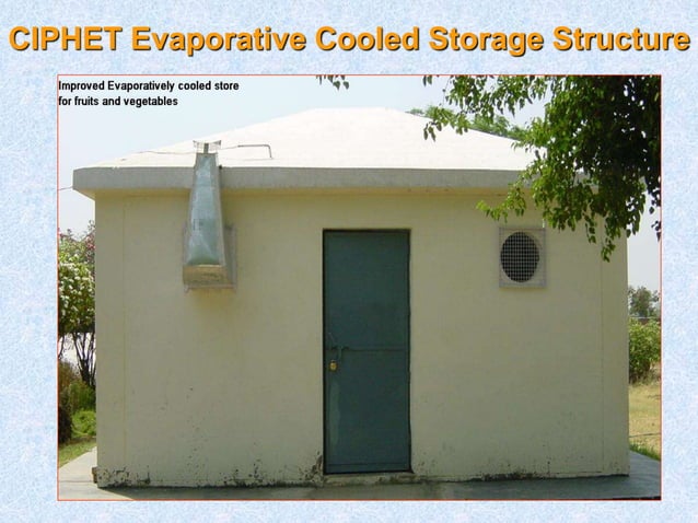 Post harvest management and value addition of jack fruit | PPT | Gardening | Home & Garden