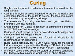 Post harvest management and value addition of onion | PPT