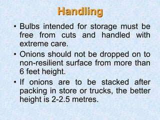 Post harvest management and value addition of onion | PPT