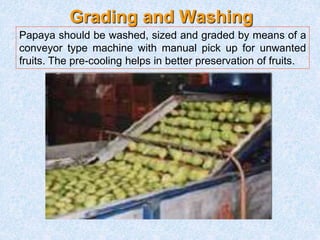 Post harvest management and value addition with special reference to ...