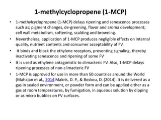 Post harvest management fruits and vegetables | PPTX