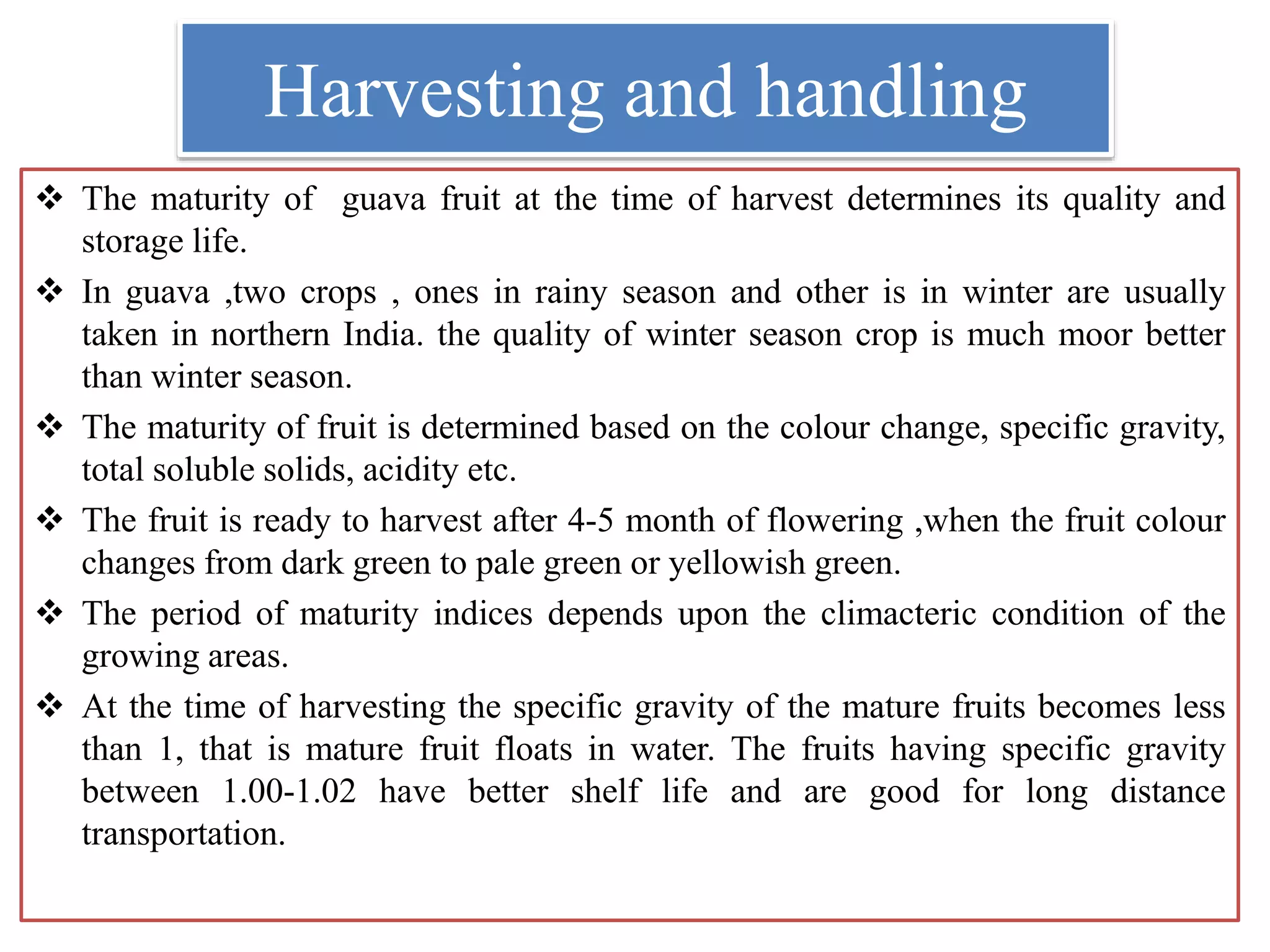 Post harvest management in guava | PPTX