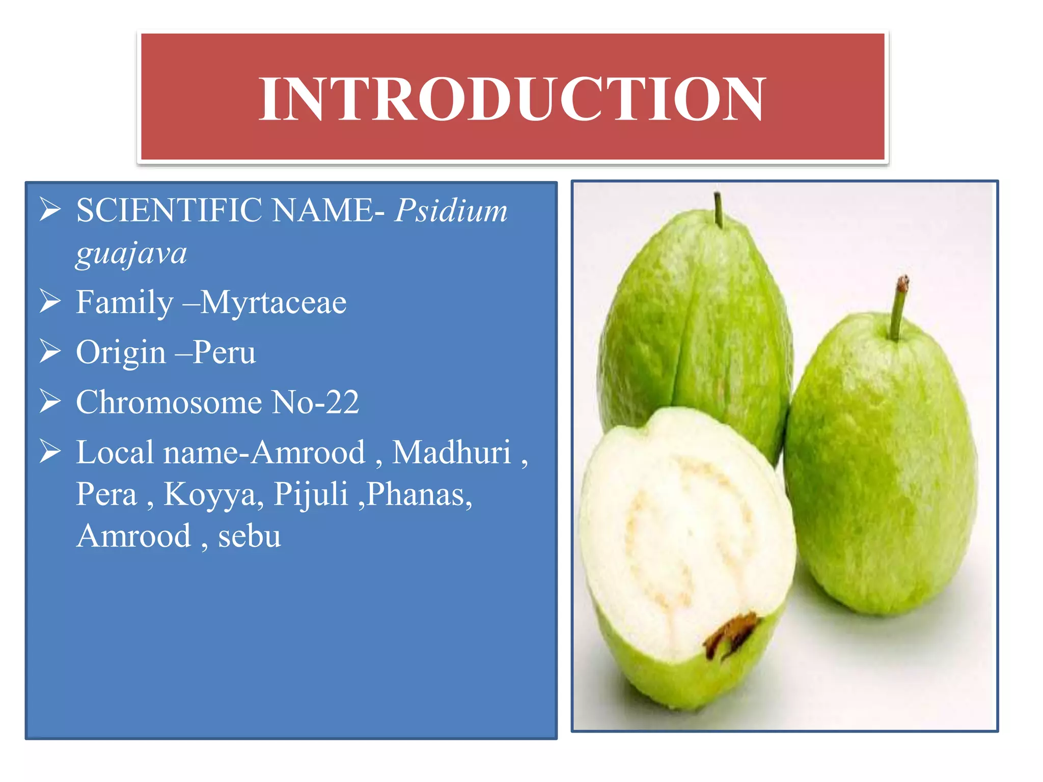 Post harvest management in guava | PPTX | Agriculture | Industries