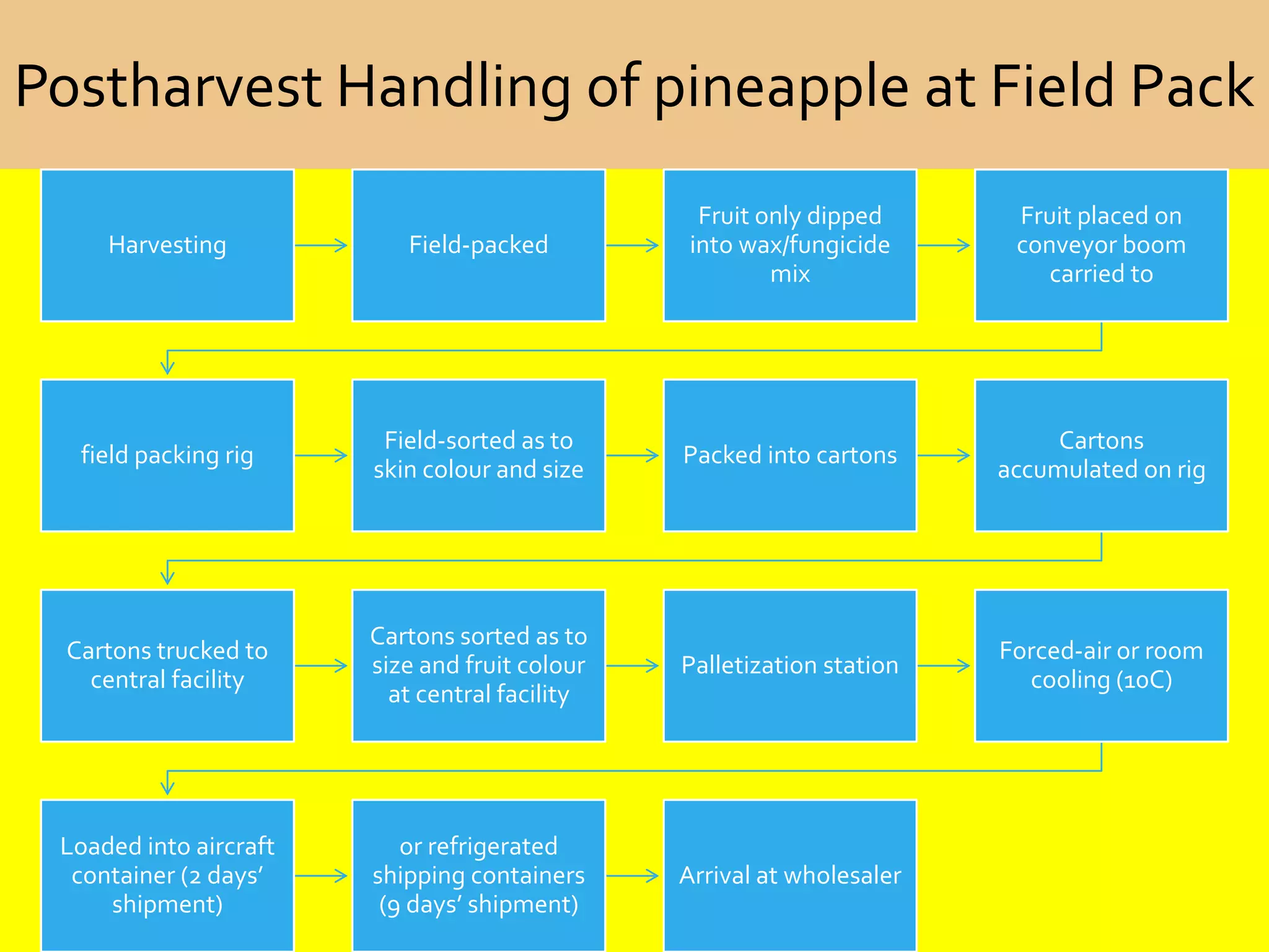 Post harvest management of pineapple | PPTX