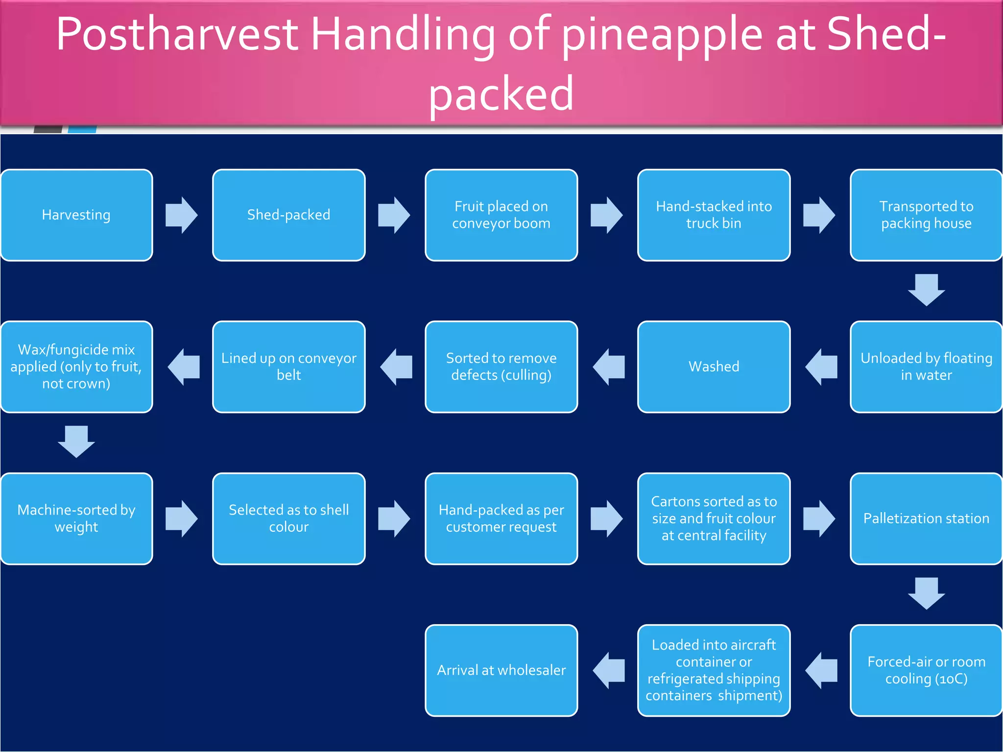Post harvest management of pineapple | PPTX