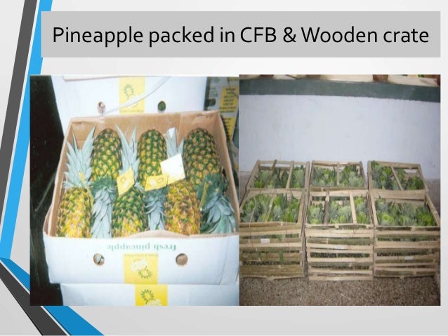 Post harvest management of pineapple