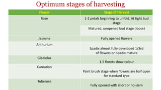 Post harvest Management of commercial flowers.pptx