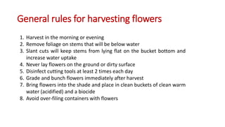 Post harvest Management of commercial flowers.pptx