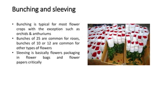 Post harvest Management of commercial flowers.pptx