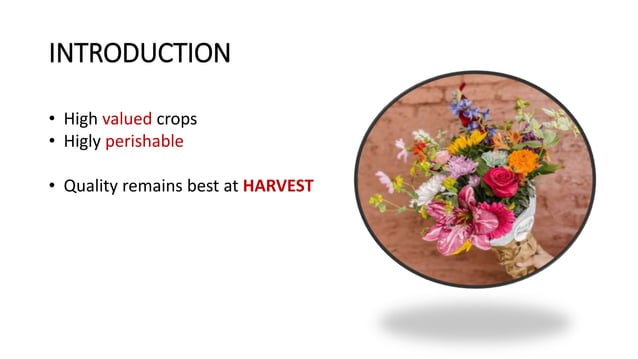 Post harvest Management of commercial flowers.pptx