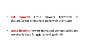 Post harvest Management of commercial flowers.pptx