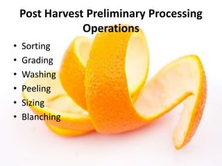 Post harvest oprations.pptx