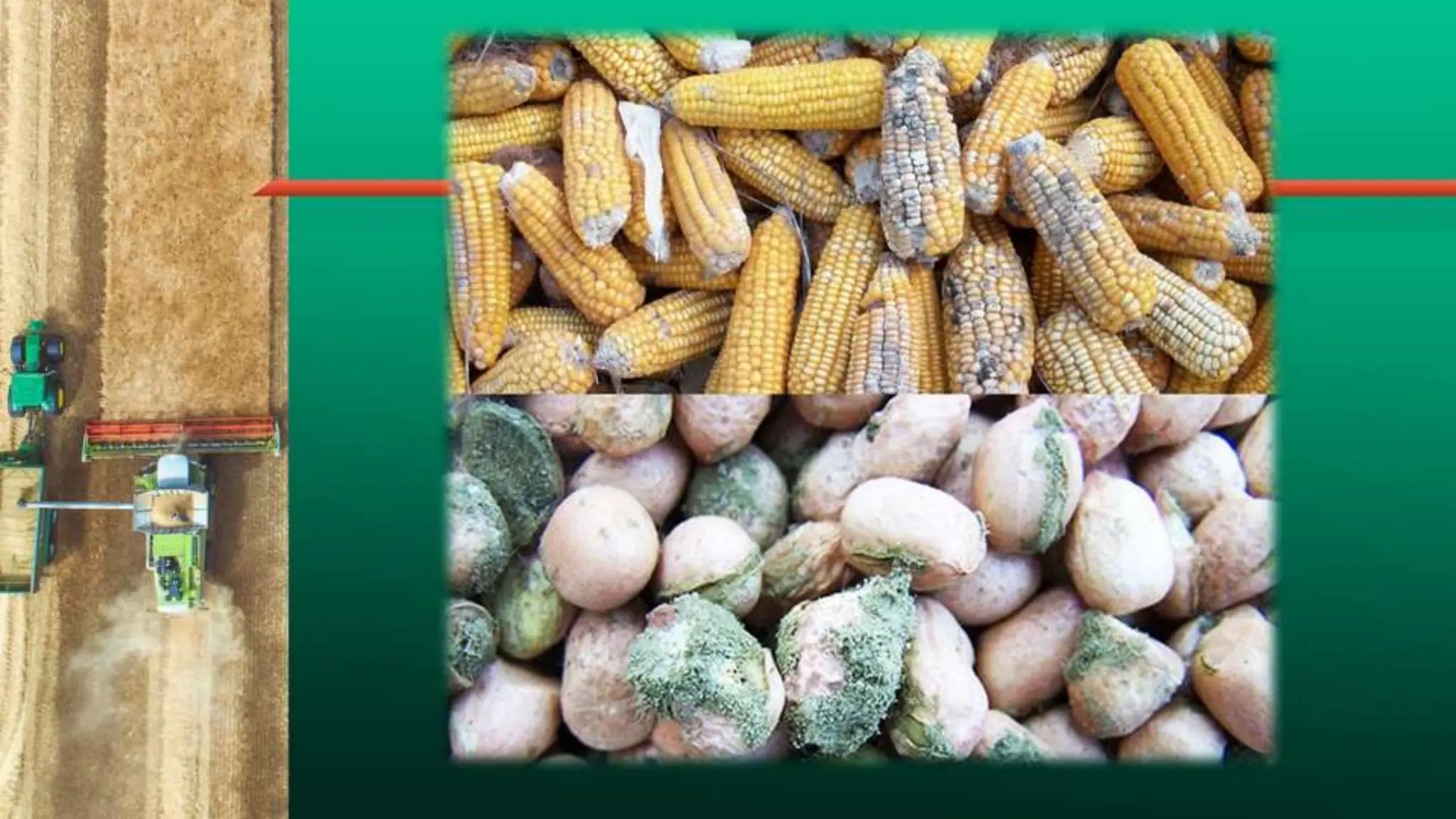 POST HARVEST TECHNOLOGY.pptx