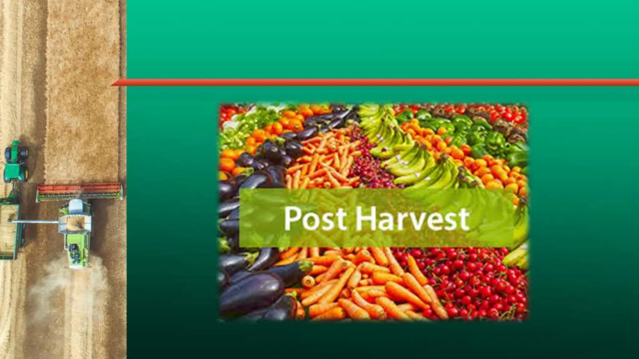 POST HARVEST TECHNOLOGY.pptx