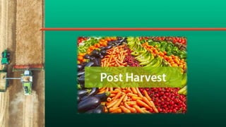 POST HARVEST TECHNOLOGY.pptx